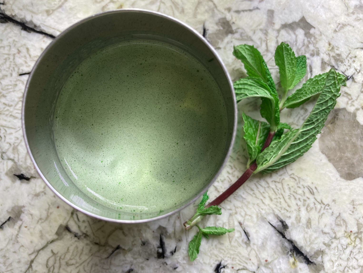 Mint Chocolate Chip Shake - Laura Rinke